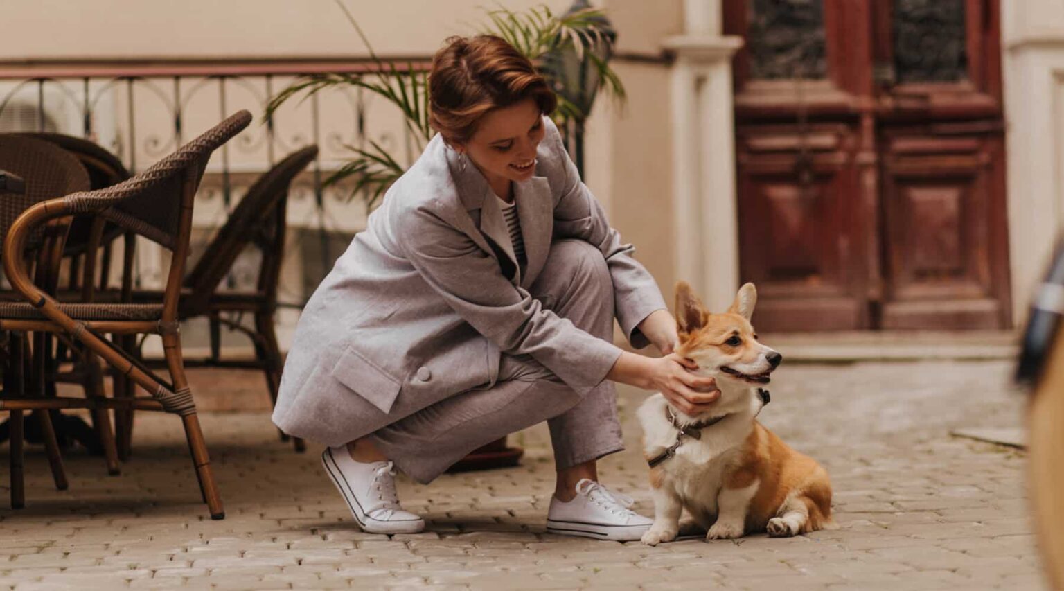 Best Dog-Friendly Cities in Europe for Pet-Loving Travelers